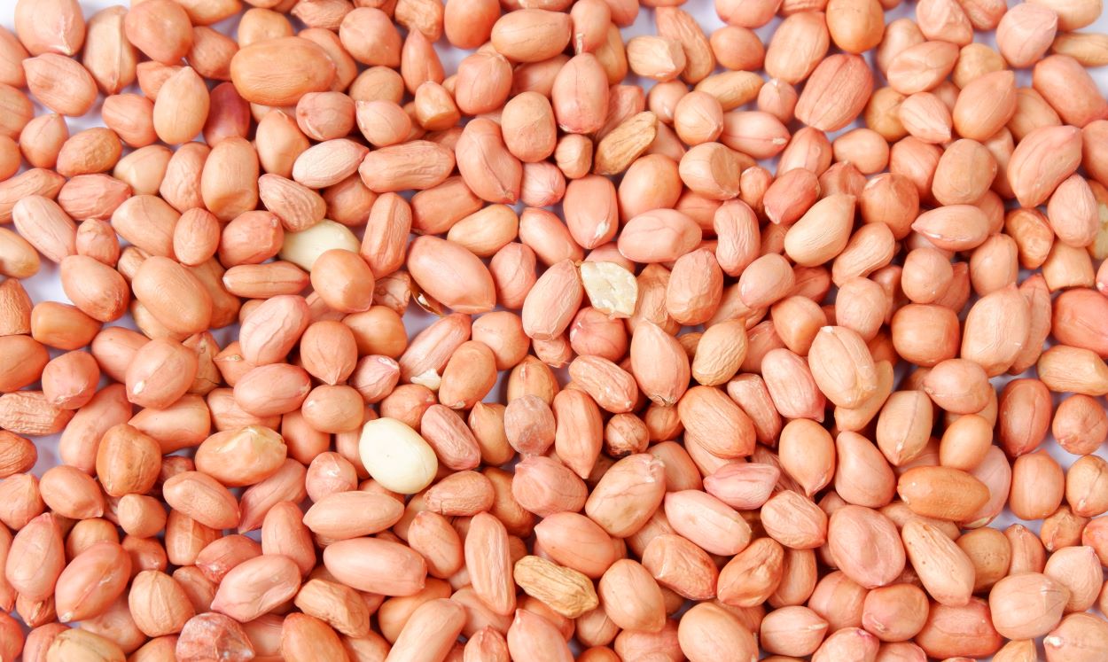 PEANUTS - NNE Peanuts Java, Bold, TJ, Blanched, splits and groundnut