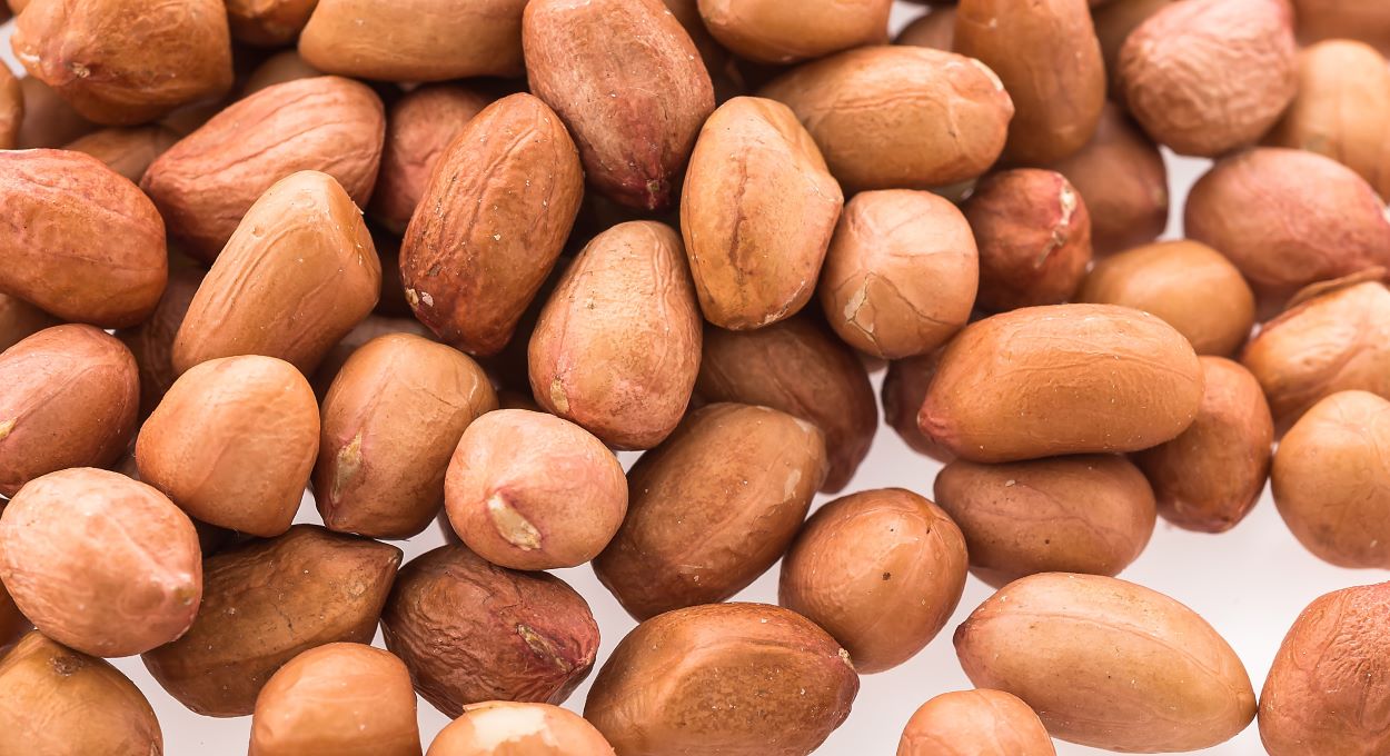 PEANUTS - NNE Peanuts Java, Bold, TJ, Blanched, splits and groundnut